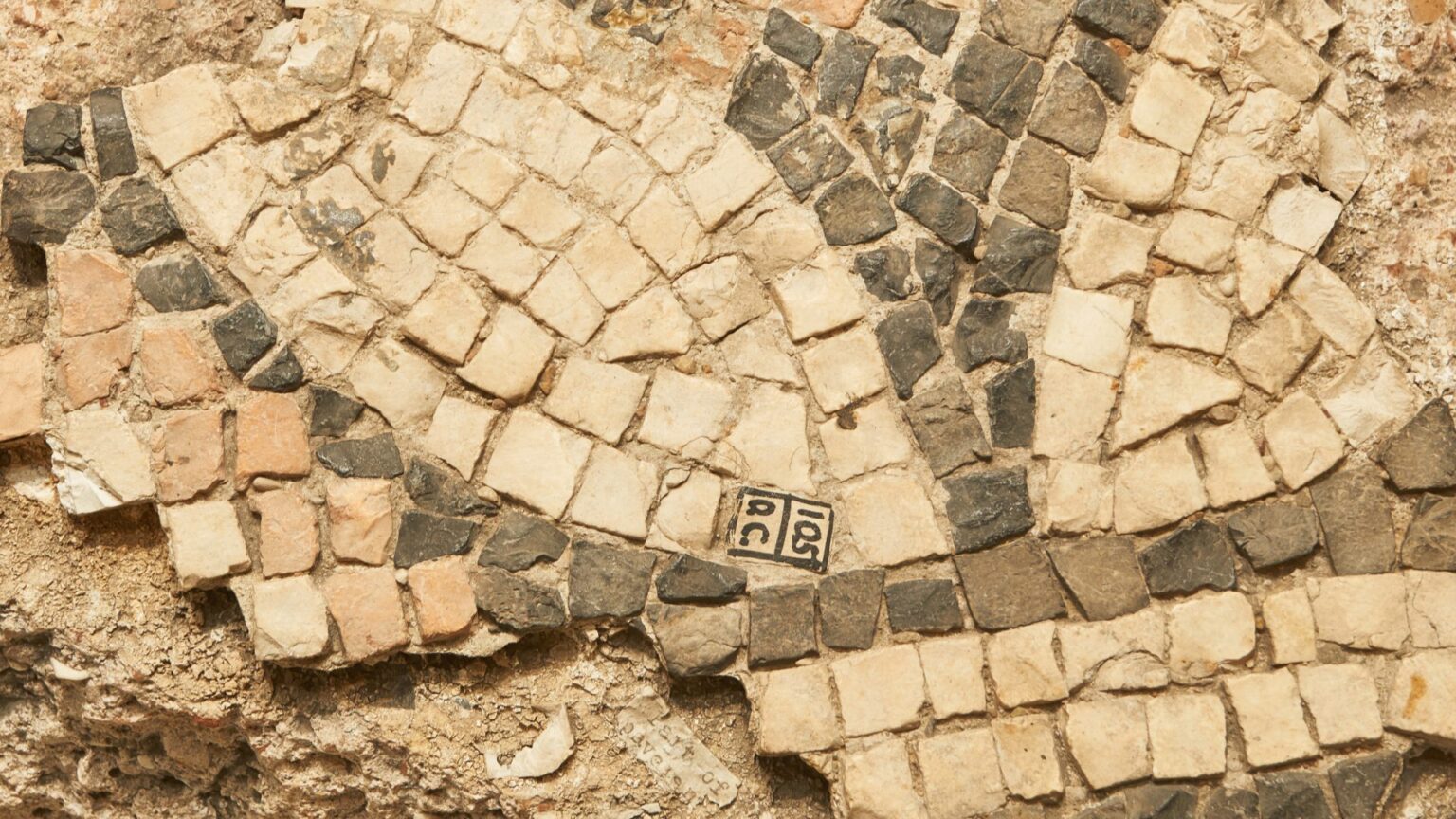Ancient - Folkestone Museum